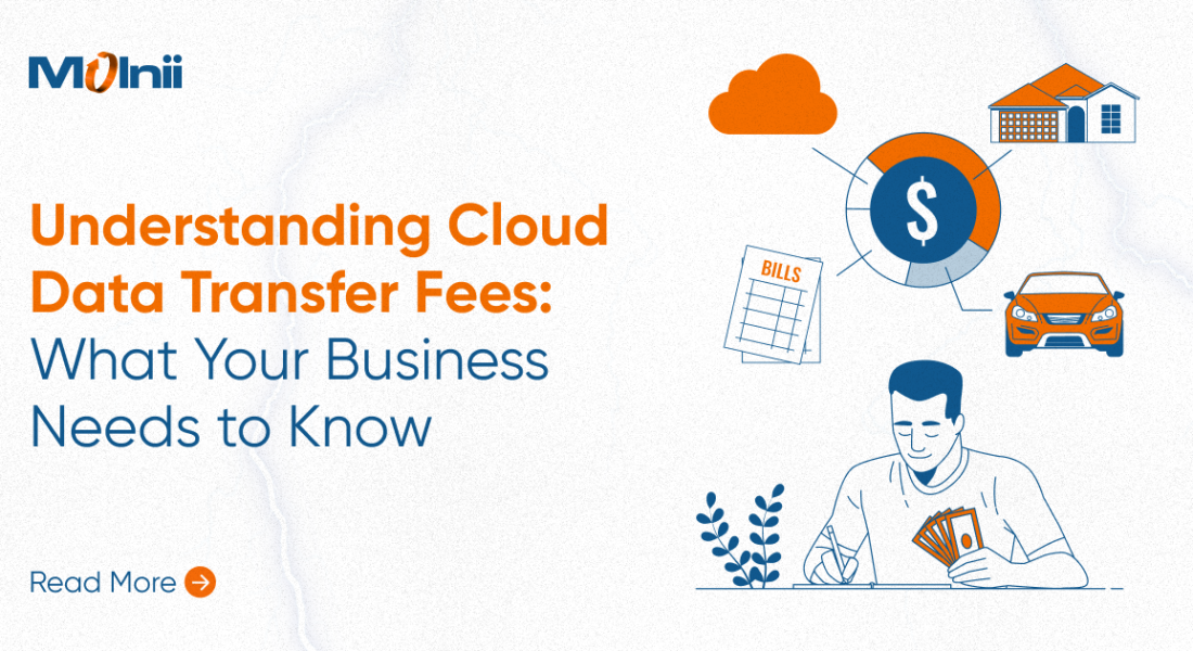 Understanding Cloud Data Transfer Fees: What Your Business Needs to Know - Molnii
